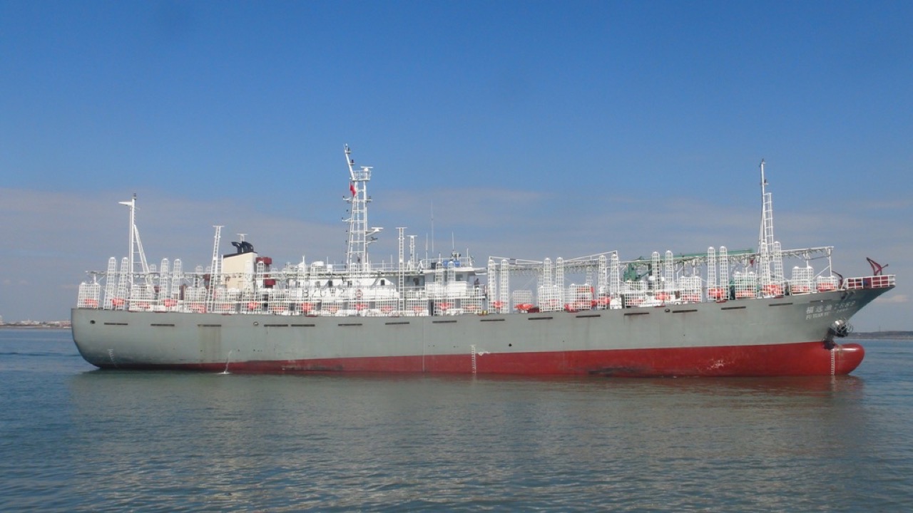Fu Yuan Yu 7889 | Vessels | Bait-to-Plate | The Outlaw Ocean Project