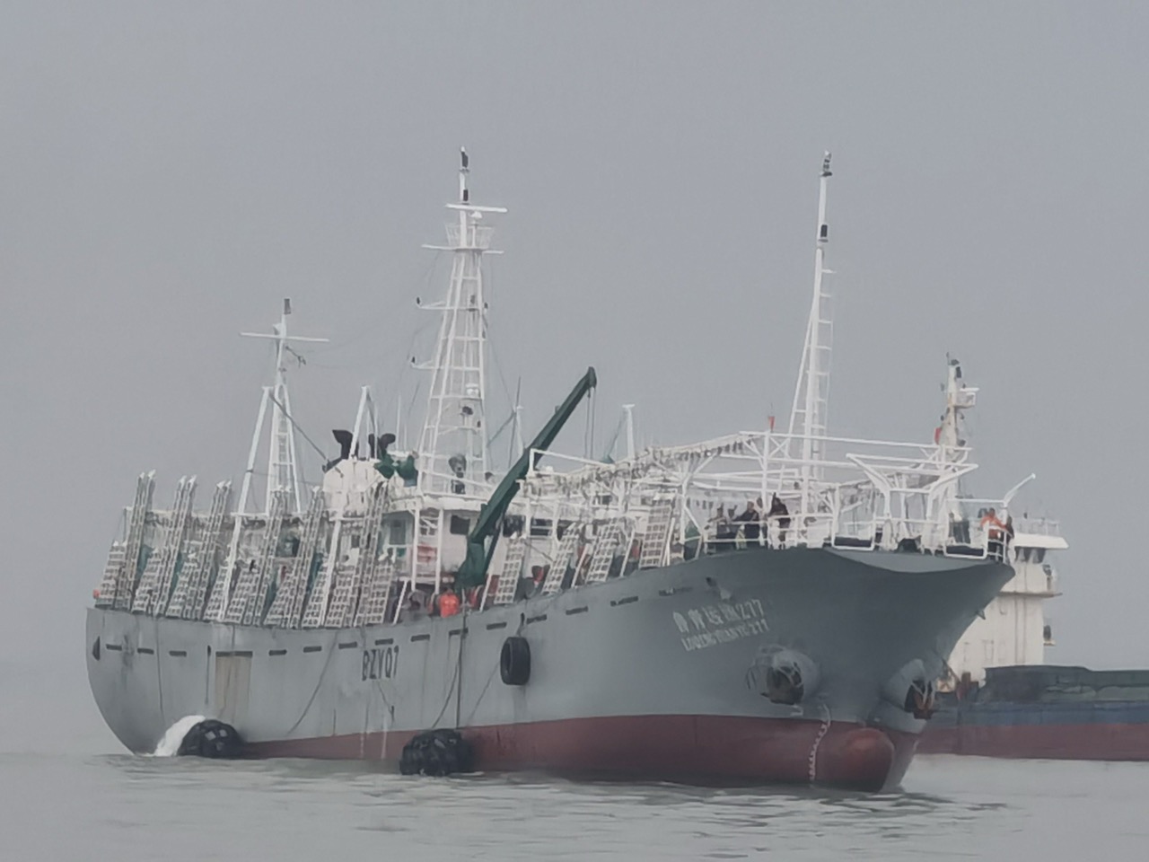 Lu Qing Yuan Yu 277 | Vessels | Bait-to-Plate | The Outlaw Ocean Project