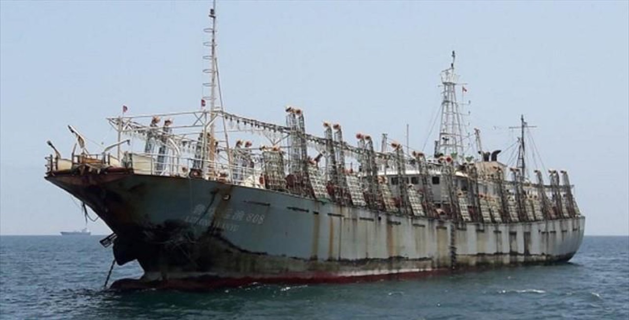 Lu Rong Yuan Yu 808 | Vessels | Bait-to-Plate | The Outlaw Ocean Project