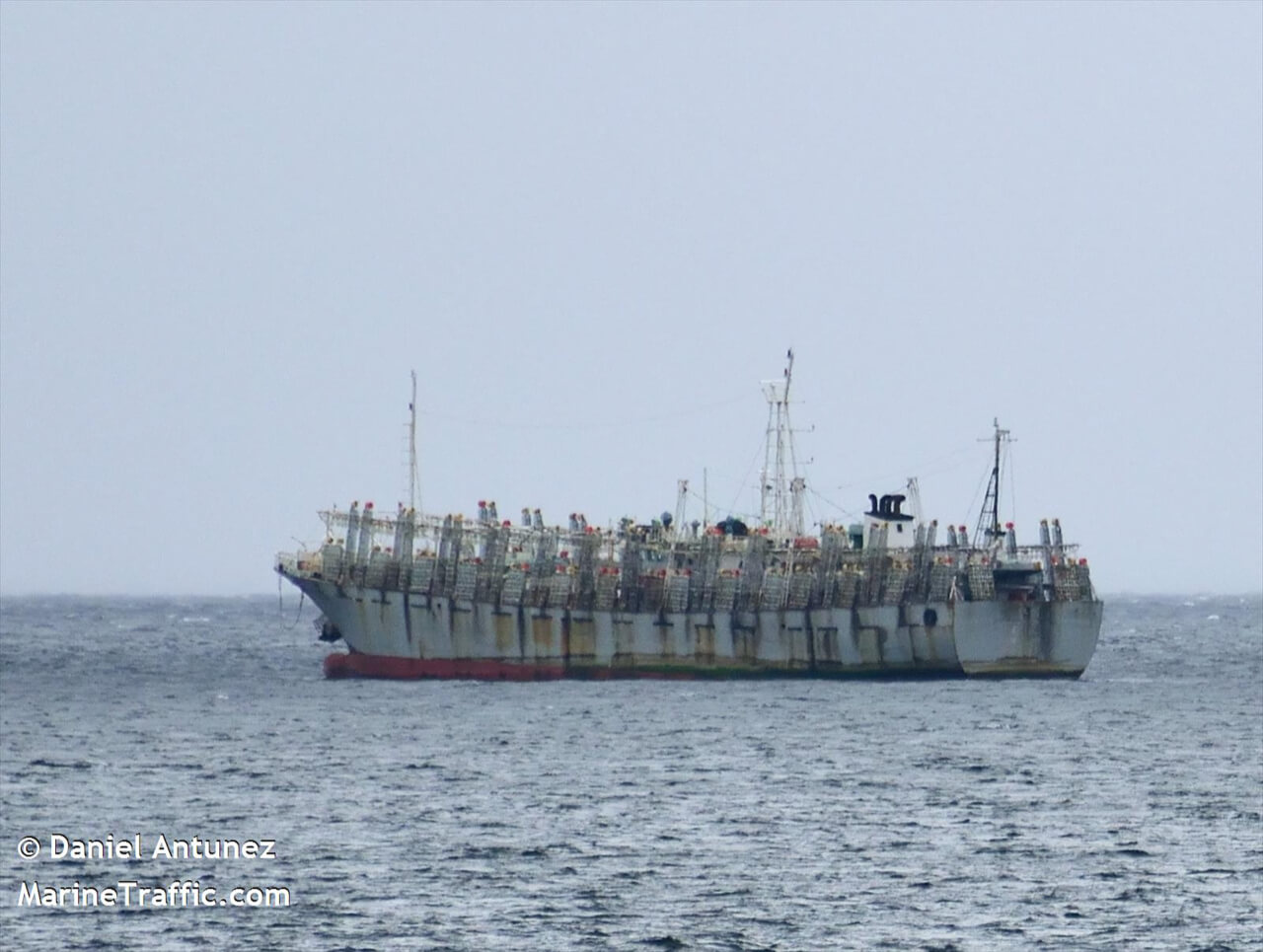 Lu Rong Yuan Yu 809 | Vessels | Bait-to-Plate | The Outlaw Ocean Project